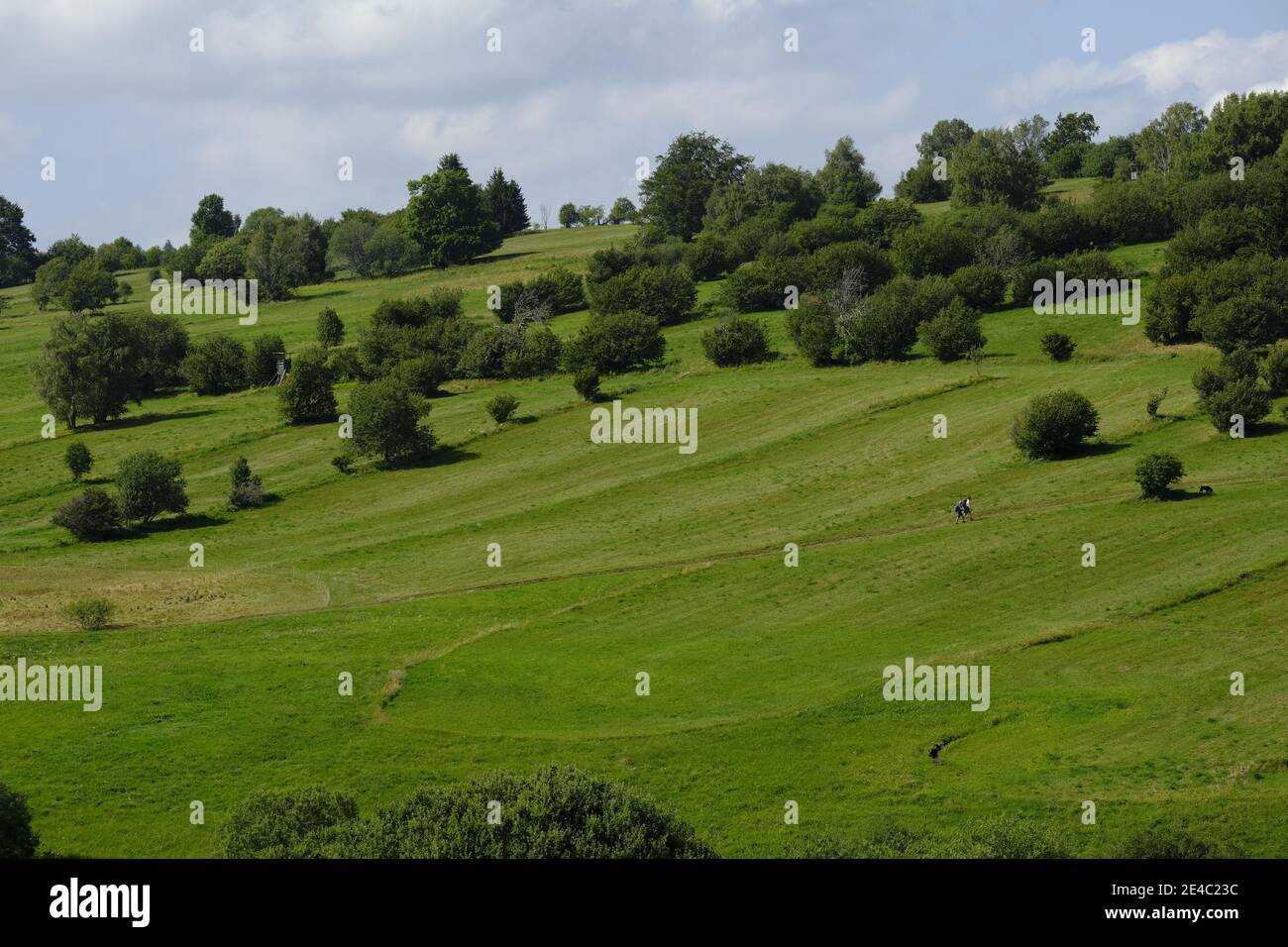 The nature reserve Lange Rhön in the core zone of the Rhön Biosphere ...