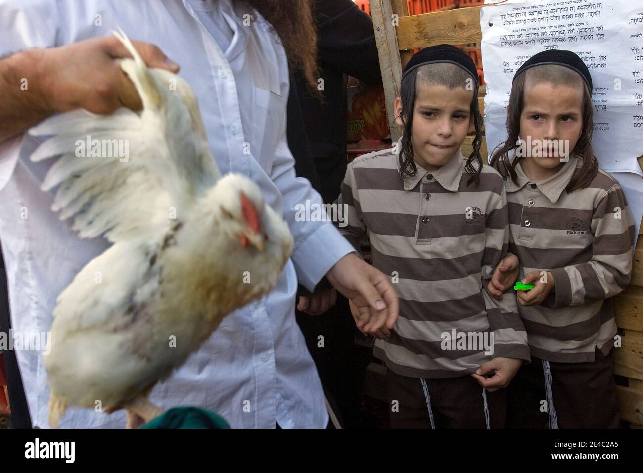 Kaparot hi-res stock photography and images - Alamy