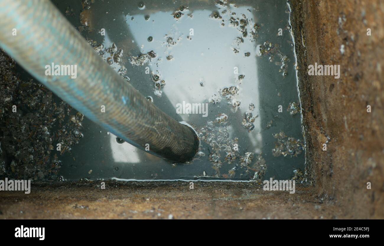 Septic cesspool pumping into tank by suction hose under high pressure ...