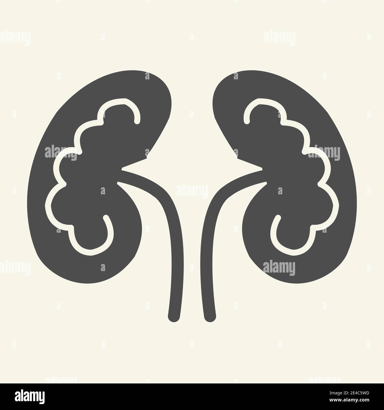 Kidney solid icon. Kidneys symbol glyph style pictogram on white ...