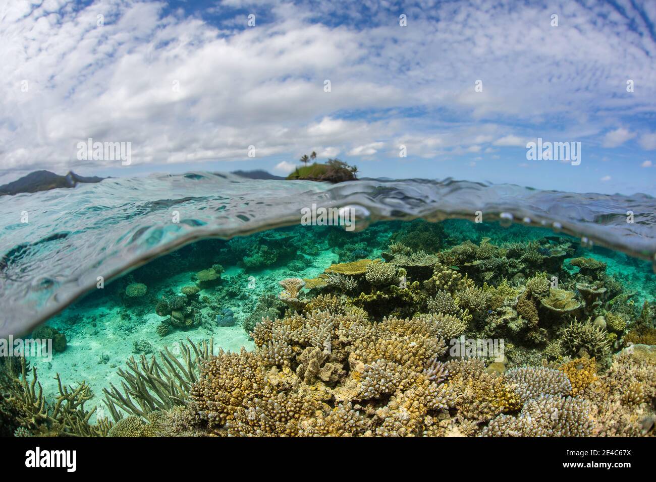 Koro island hi-res stock photography and images - Alamy