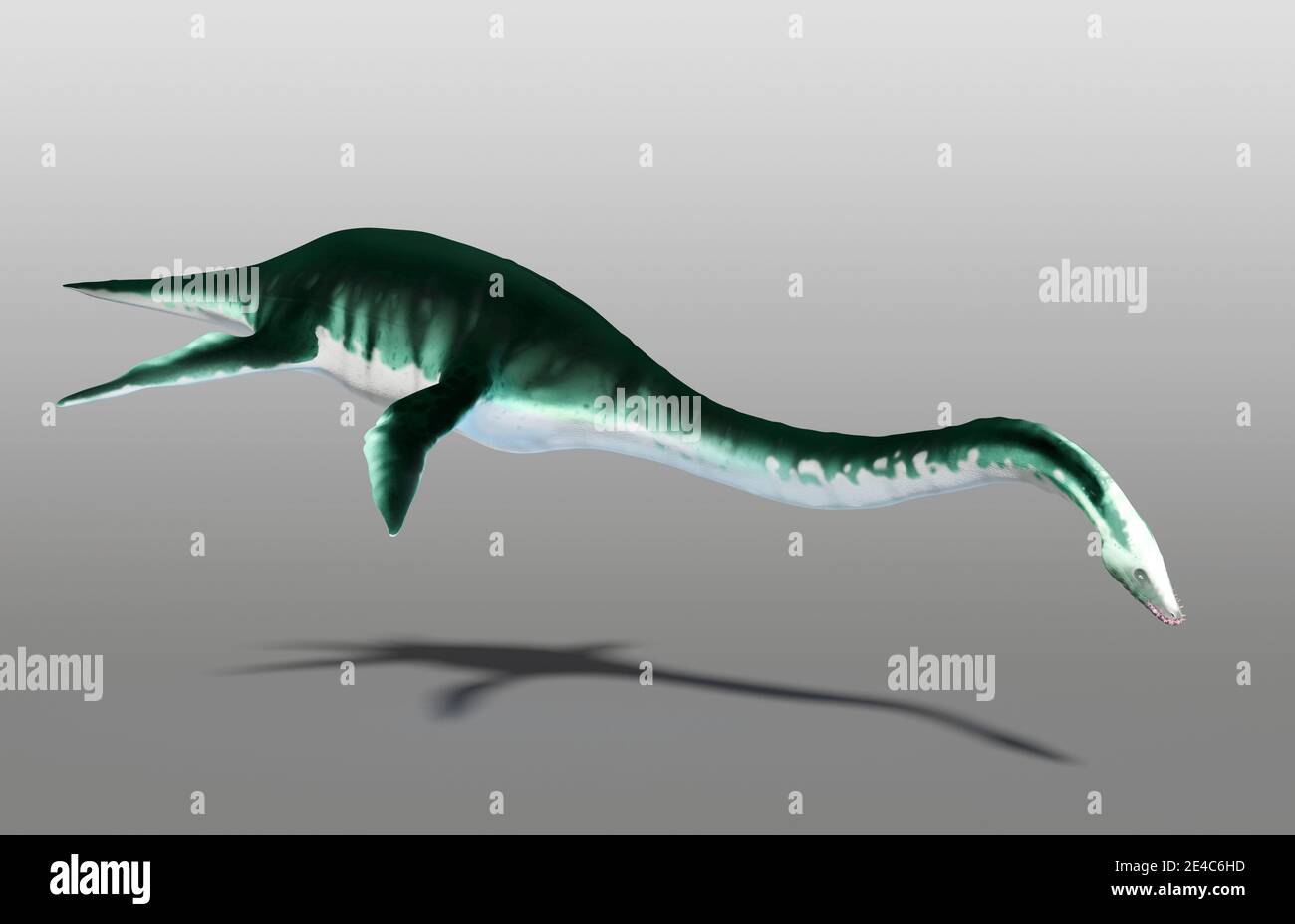 Artwork of a plesiosaurus. This extinct animal lends it name to an ...