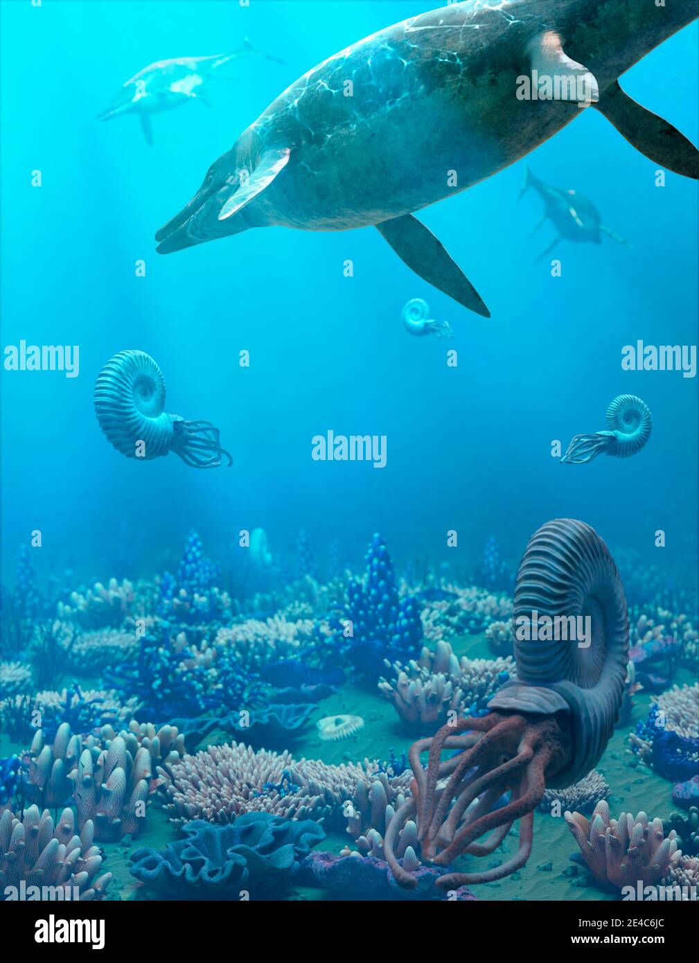 Illustration of Shastasaurus sp. marine reptiles and ammonites swimming ...