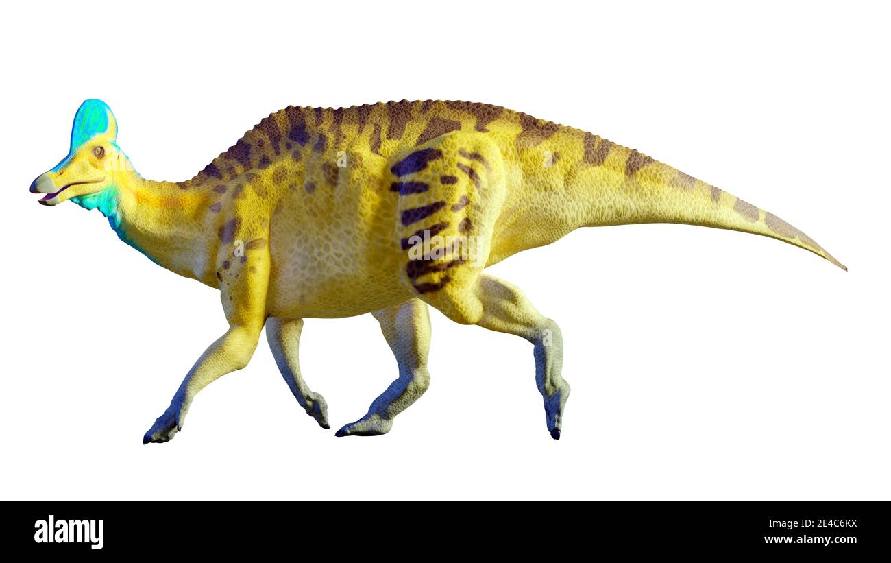 Crested hadrosaurid dinosaurs Cut Out Stock Images & Pictures - Alamy