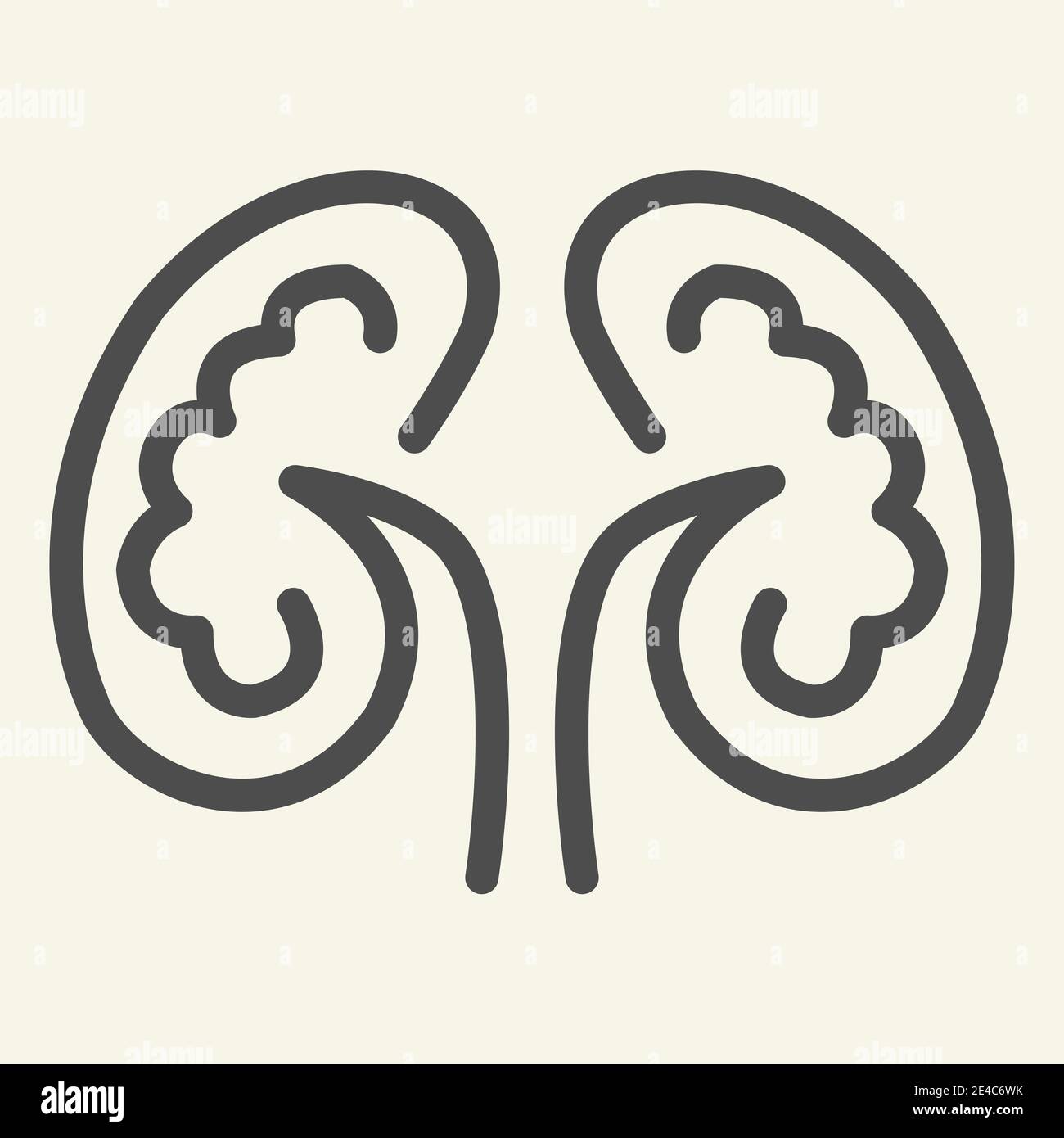 Kidney line icon. Kidneys symbol outline style pictogram on white ...