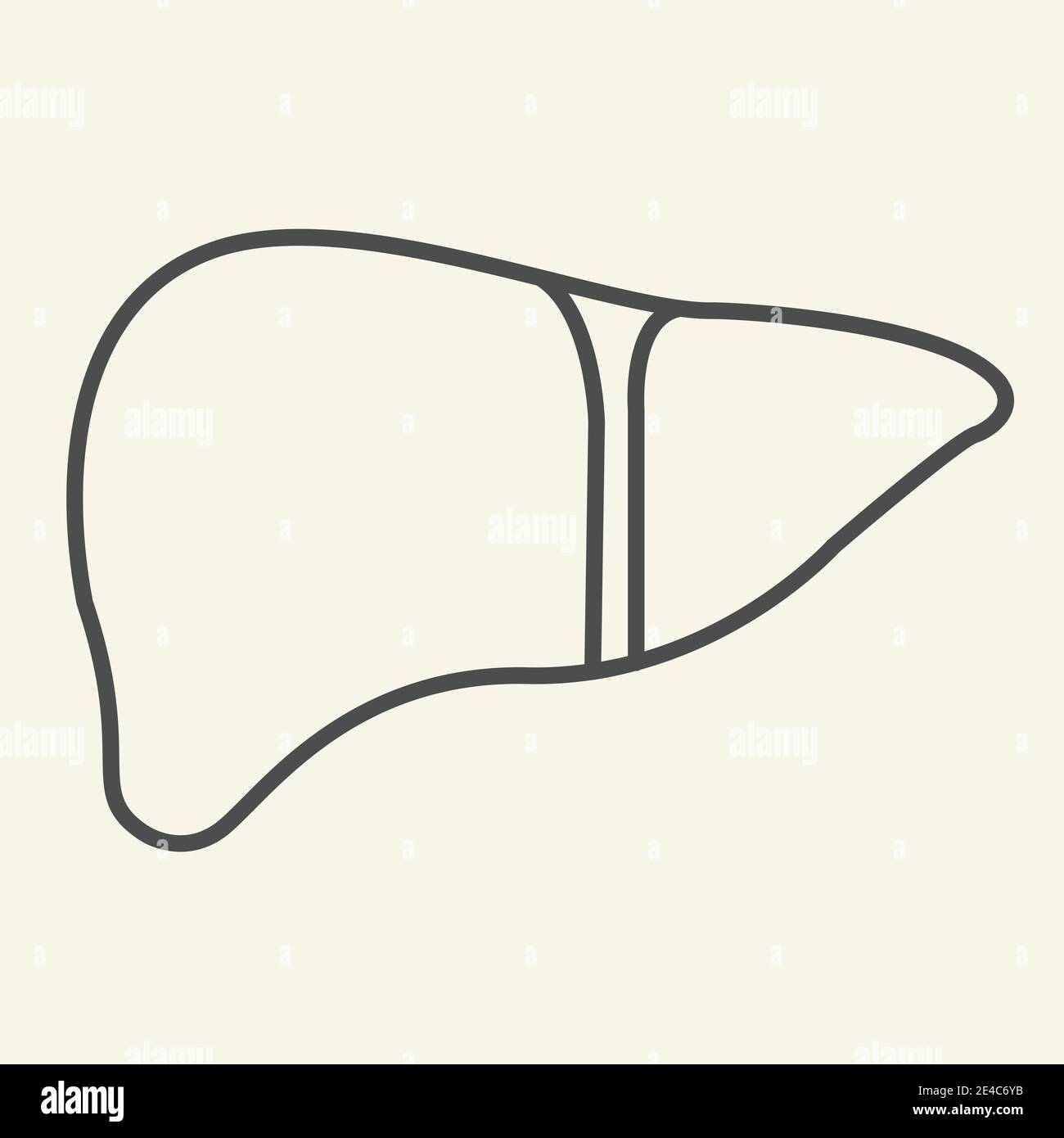 Liver organ thin line icon. Human liver outline style pictogram on ...