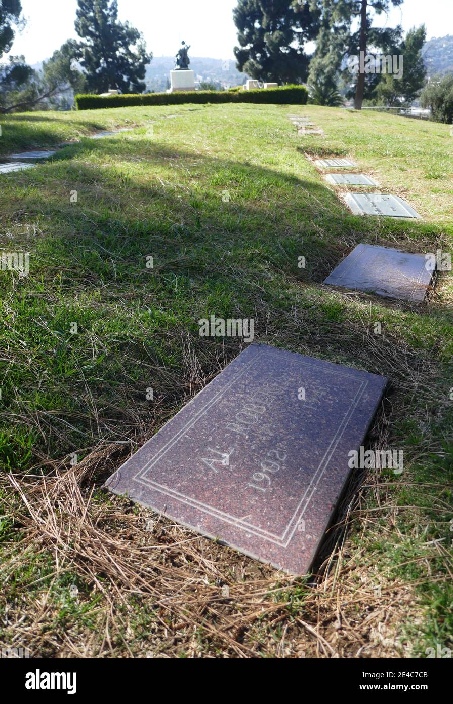 Glendale, California, USA 18th January 2021 A general view of ...