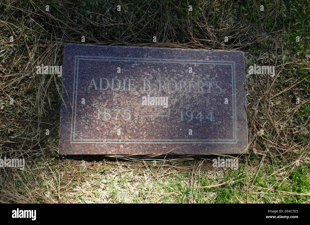 Glendale, California, USA 18th January 2021 A general view of ...