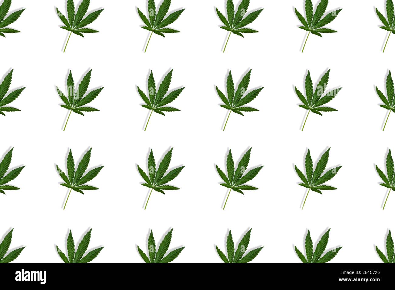 Seamless pattern cannabis leaves hi-res stock photography and images ...
