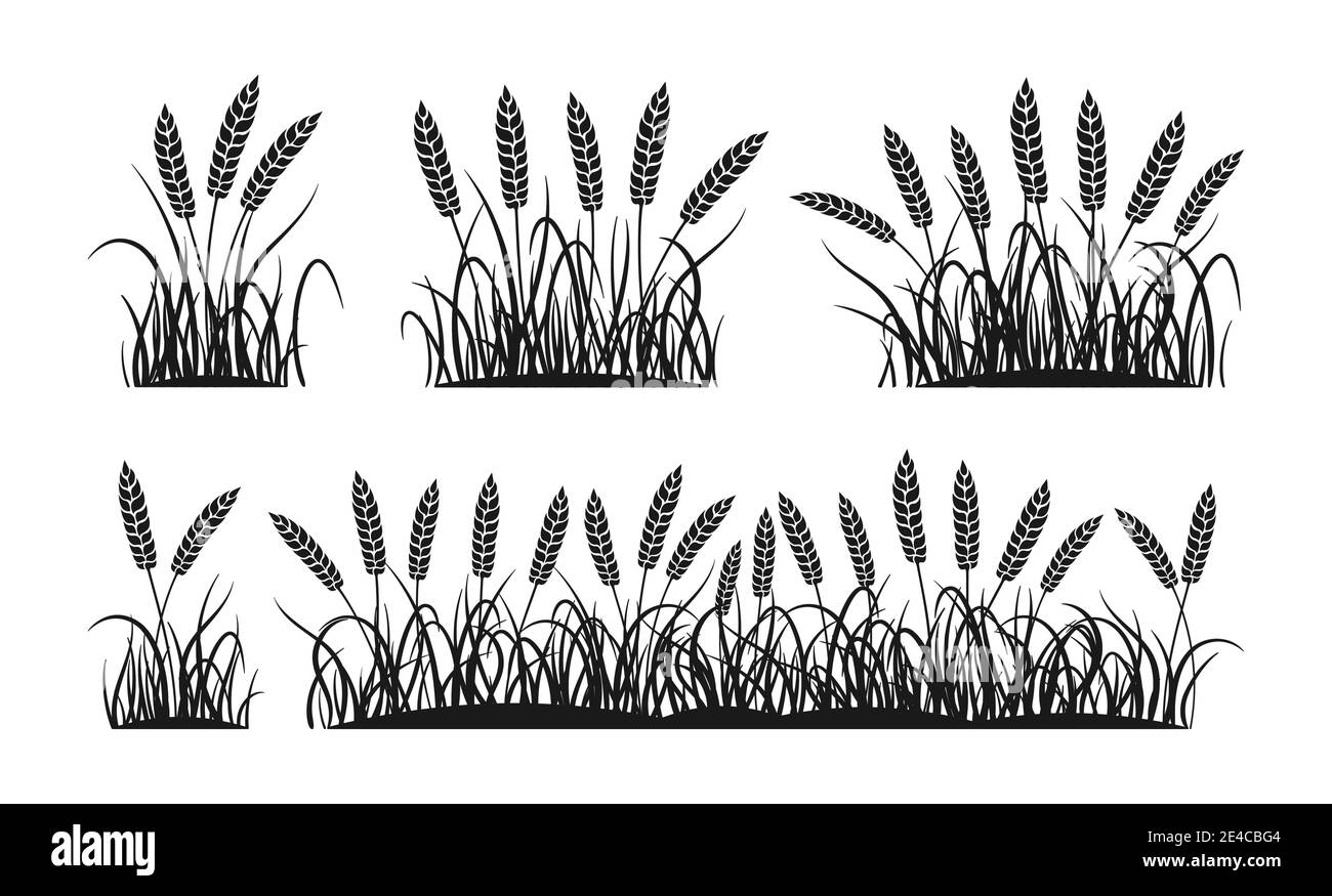 Field ears wheat black silhouette set. Ripe spikelets wheat glyph ...
