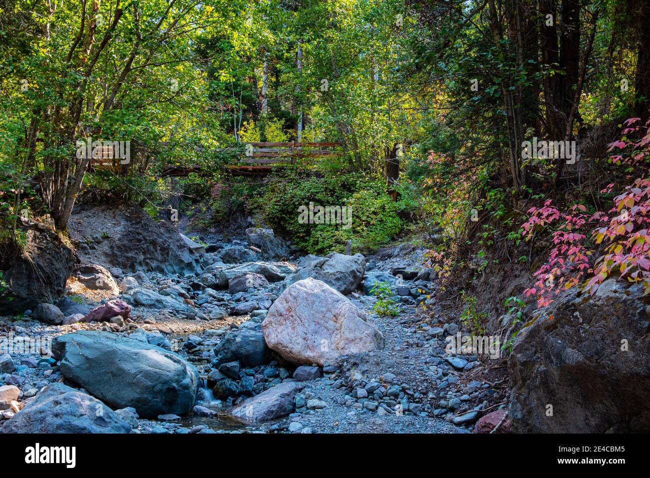 Beauty of a dry riverbed along the Perimeter Trail in Ouray, Colorado ...