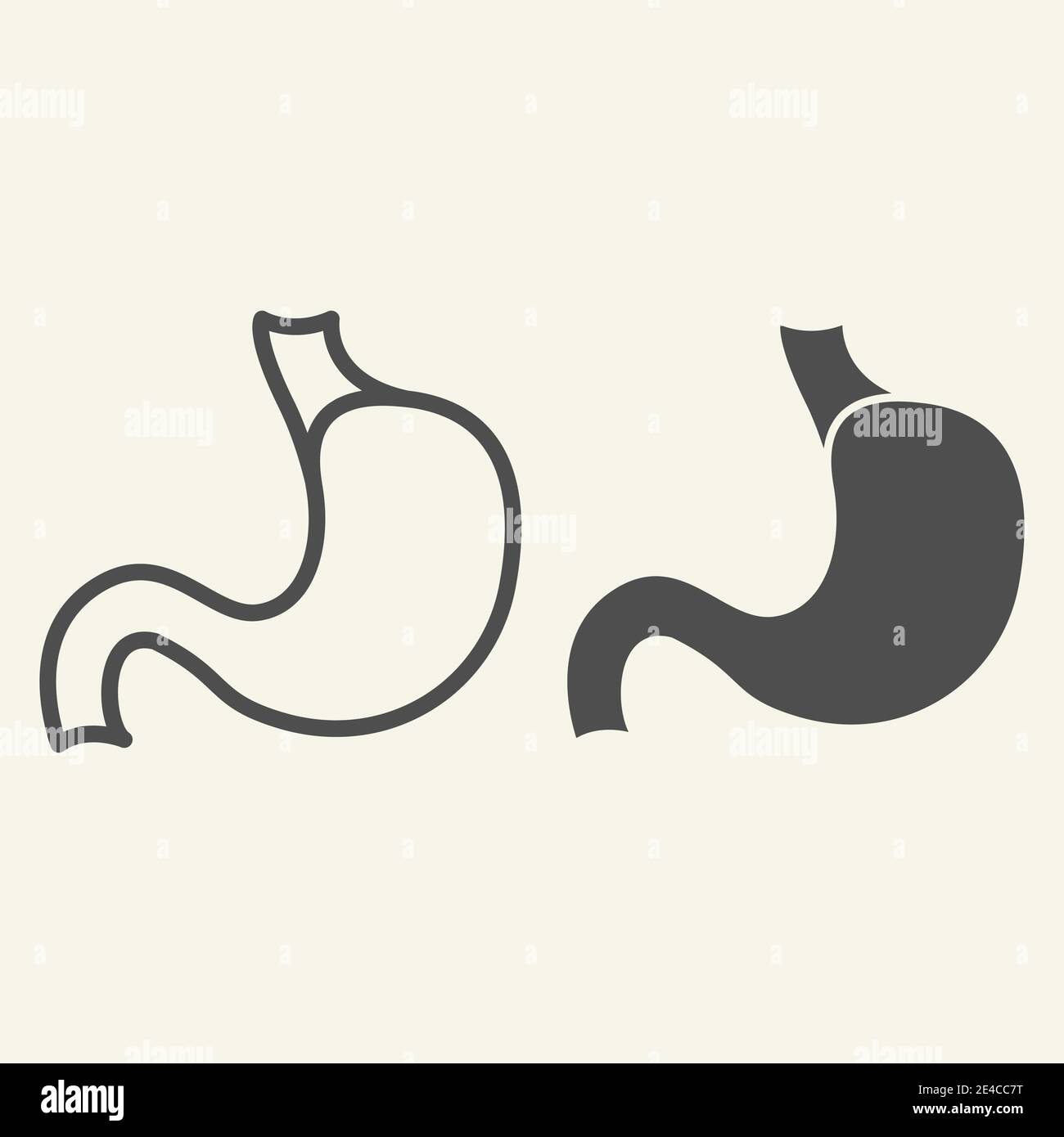 Stomach organ line and solid icon. Human gastric organ outline style ...