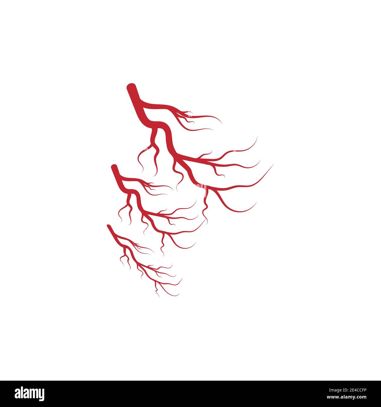 Veins Logo Template vector symbol nature Stock Vector Image & Art - Alamy