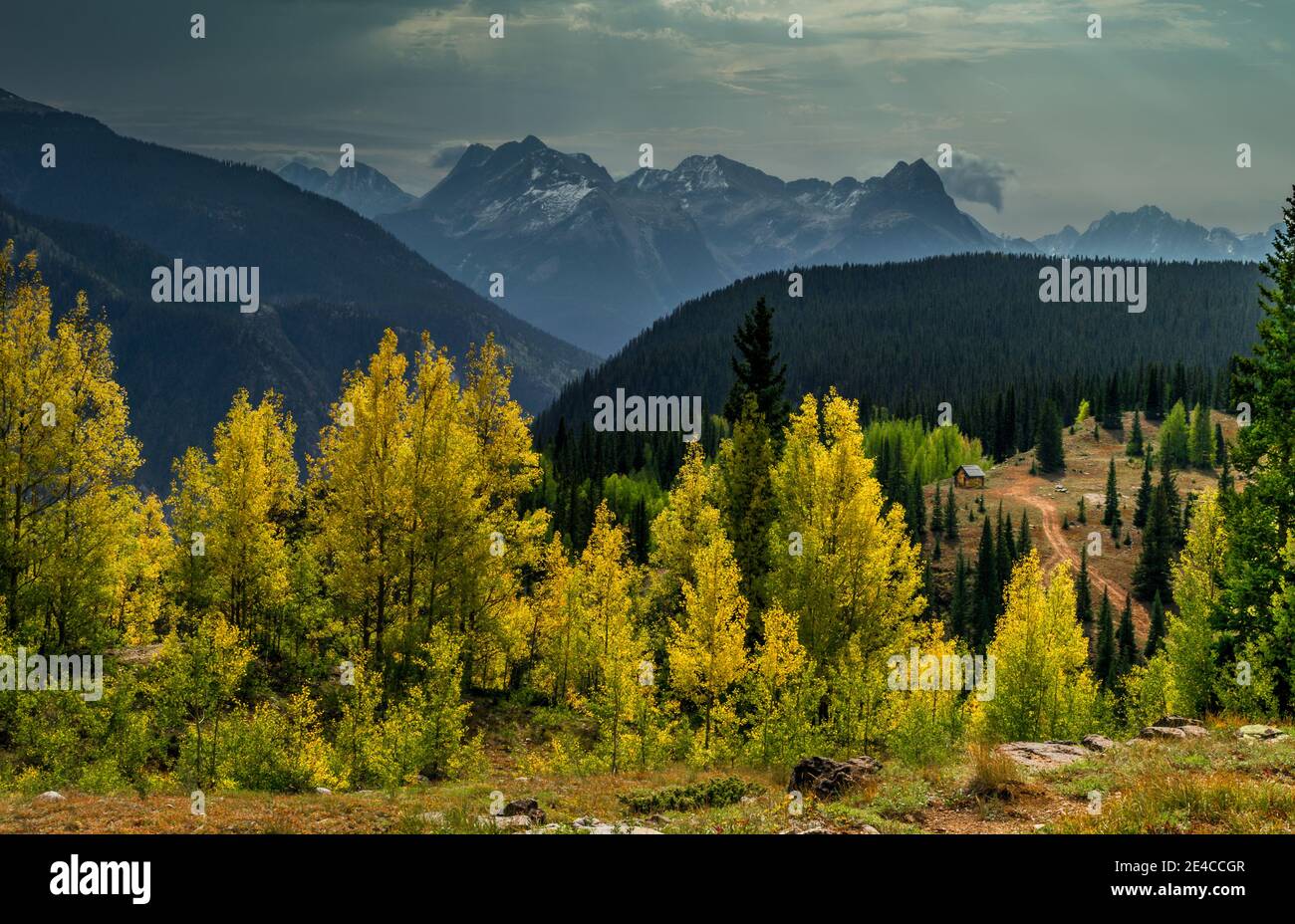 Stormy, grey clouds rising above the colorful Aspens of Molas Pass ...