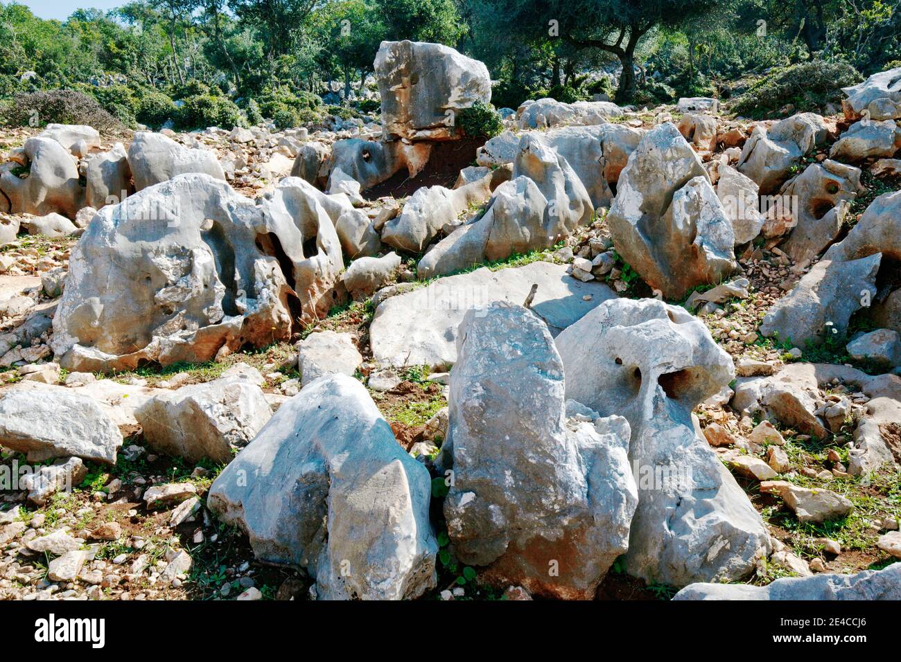 Karst rocks hi-res stock photography and images - Alamy