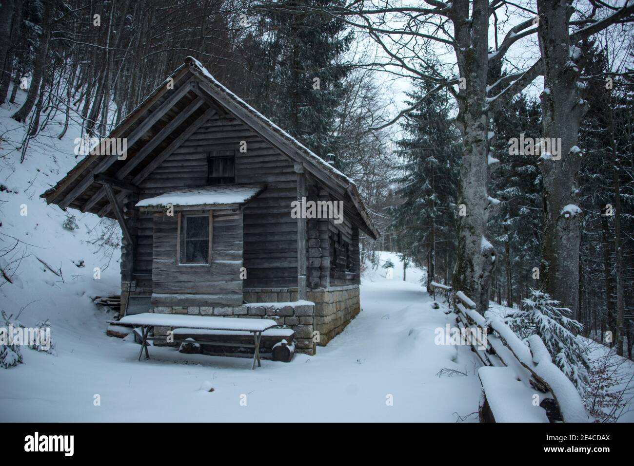 Hut in the forest with fresh snow Stock Photo - Alamy
