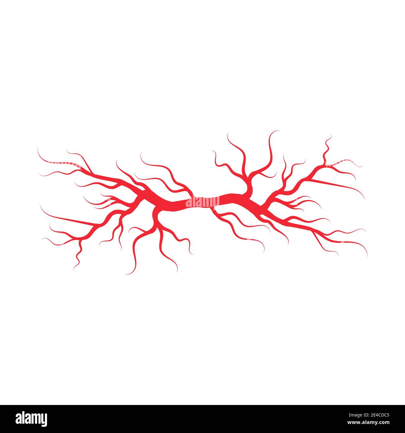 Veins Logo Template vector symbol nature Stock Vector Image & Art - Alamy