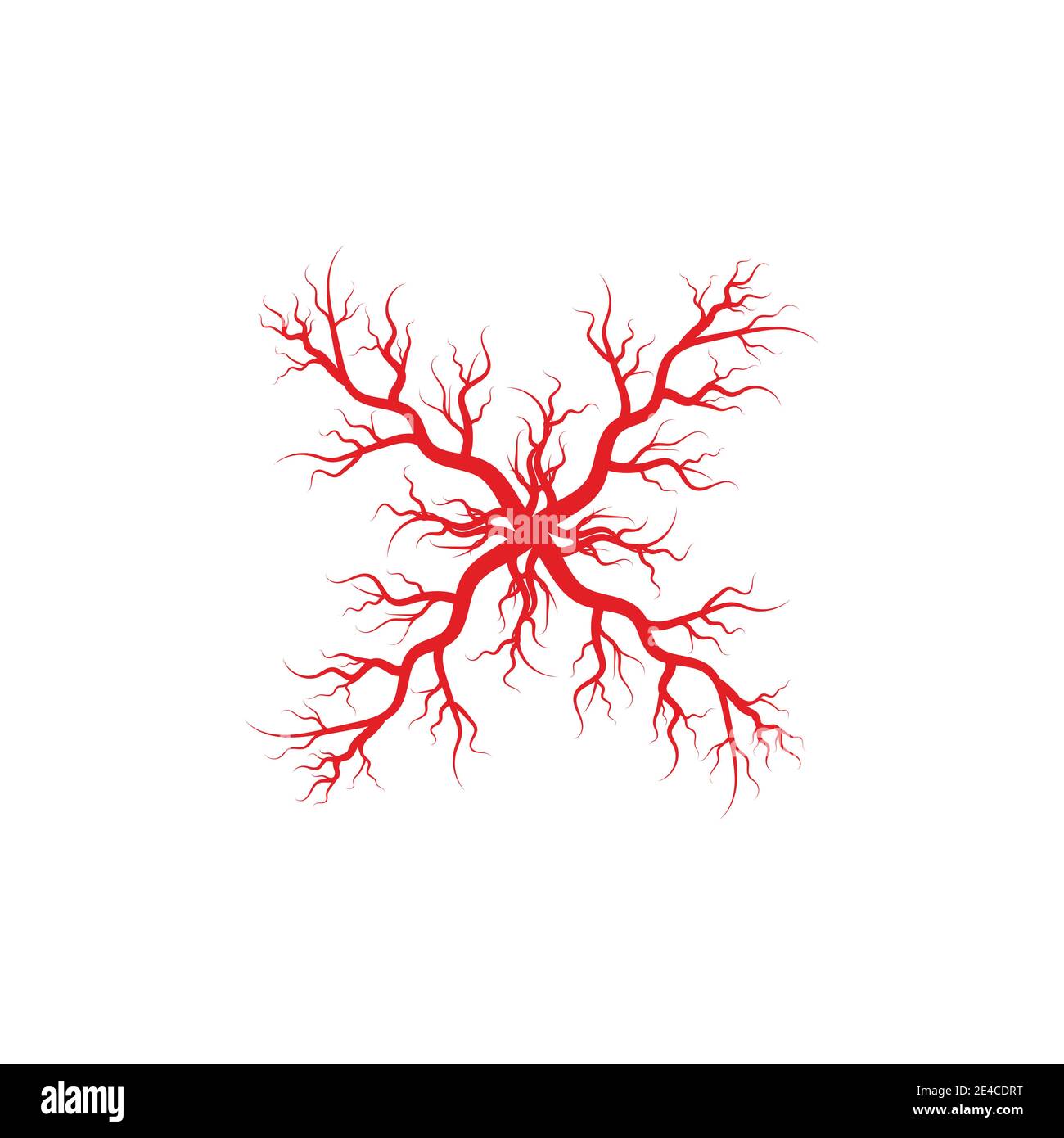 Veins Logo Template vector symbol nature Stock Vector Image & Art - Alamy