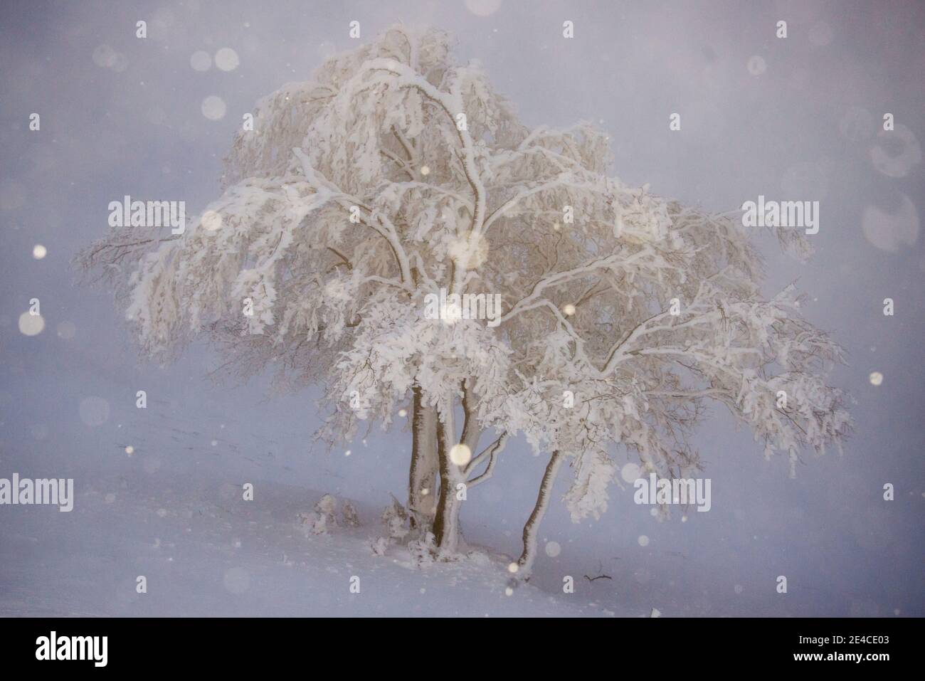 Fog rime hi-res stock photography and images - Alamy