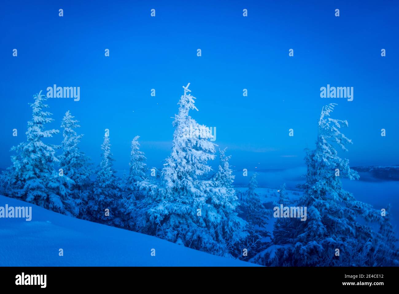 Snow fog covered firs hi-res stock photography and images - Alamy