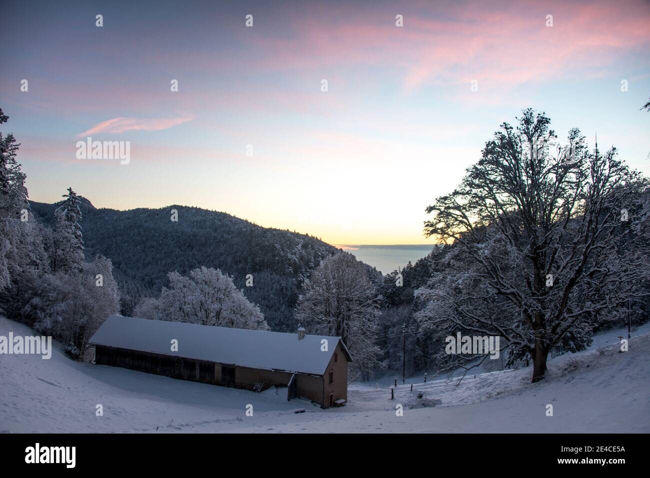 Stable environment hi-res stock photography and images - Alamy