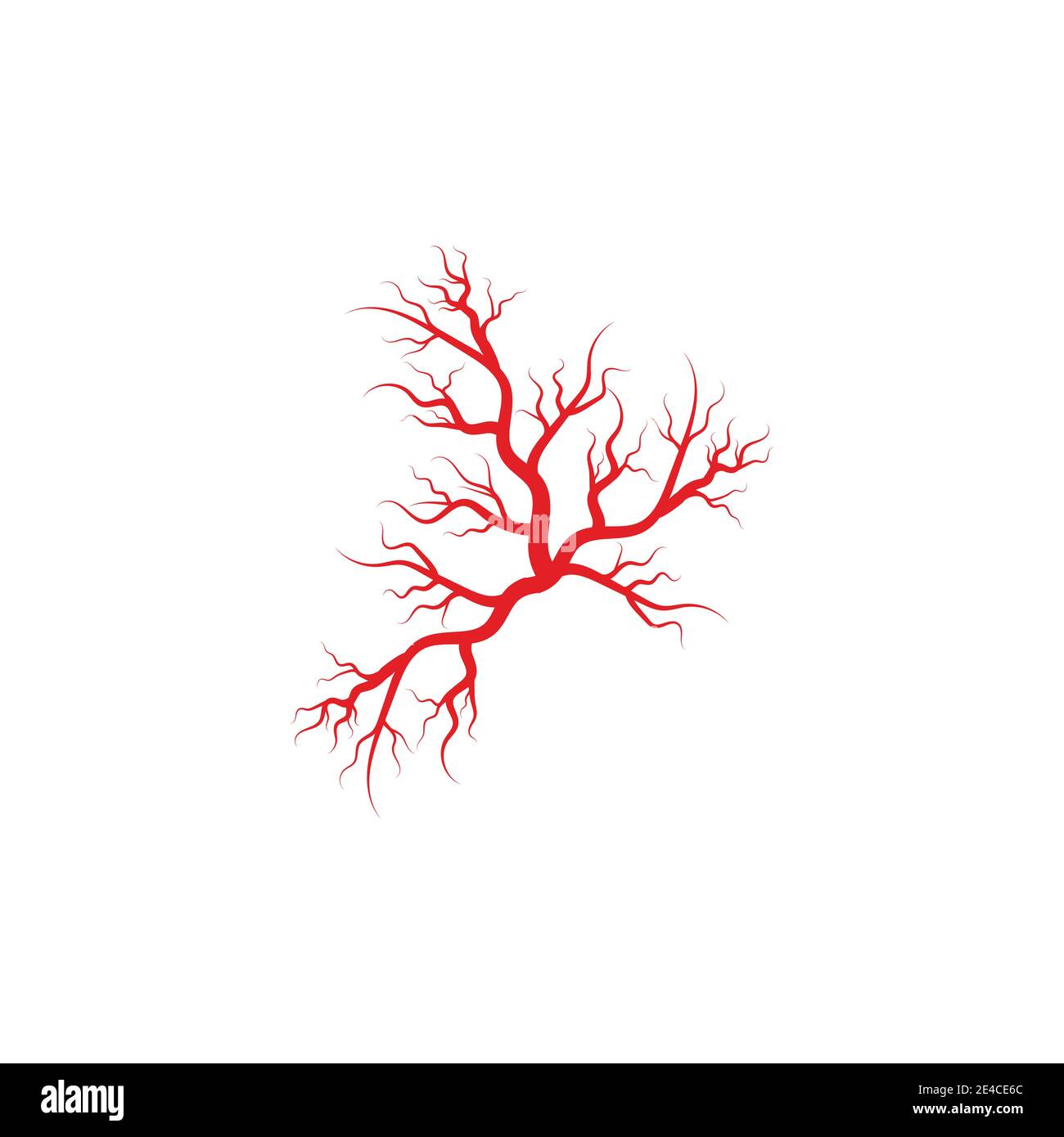 Veins Logo Template vector symbol nature Stock Vector Image & Art - Alamy