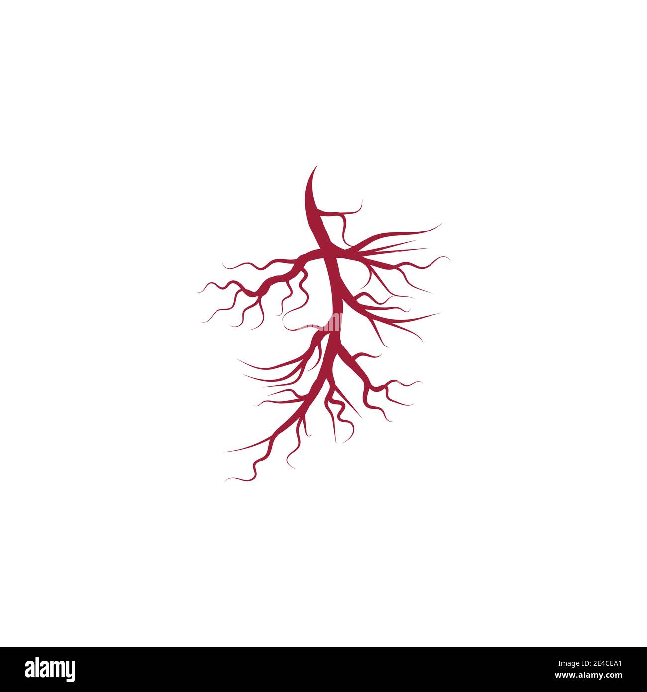 Veins Logo Template vector symbol nature Stock Vector Image & Art - Alamy