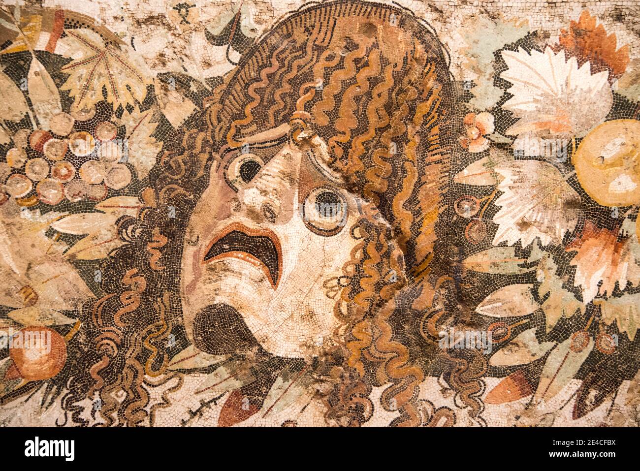 Roman mosaic in pompeii hi-res stock photography and images - Alamy