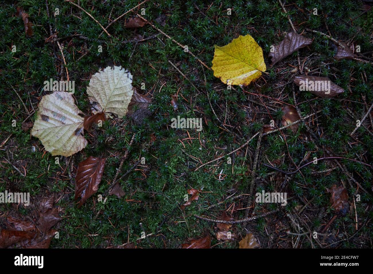 Floor veiw hi-res stock photography and images - Alamy