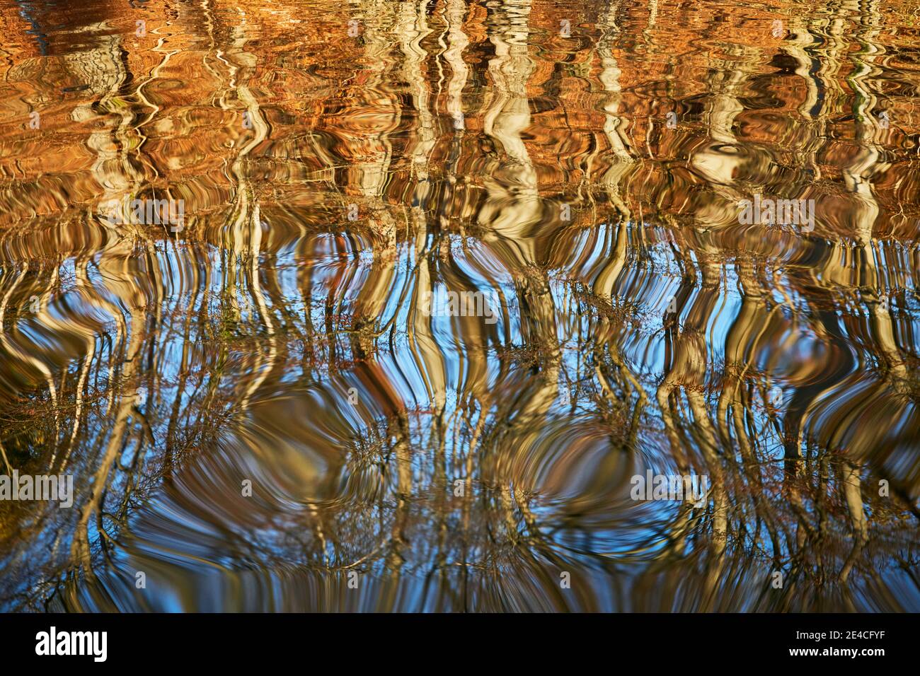 Lake, autumn, reflection Stock Photo - Alamy