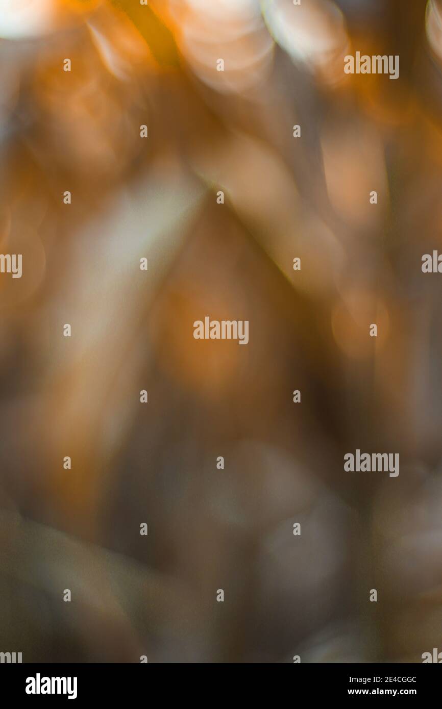 Abstract, emotional blur, background / graphics / composing / real ...