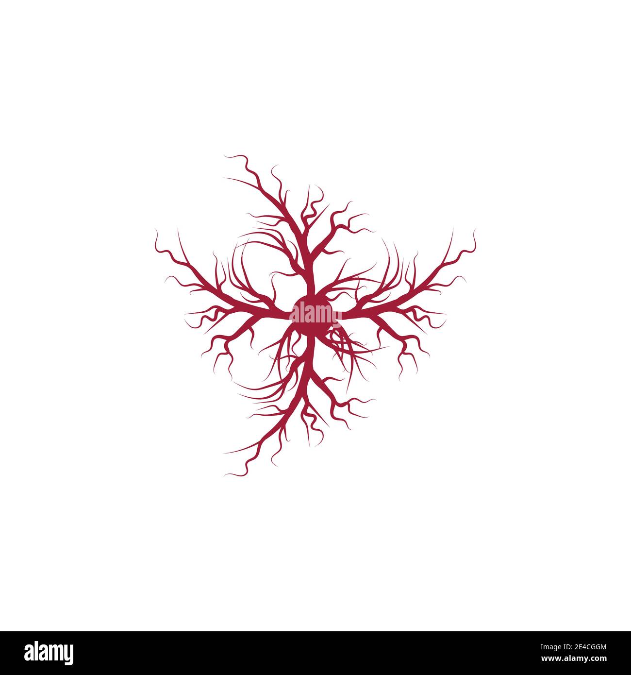 Veins Logo Template vector symbol nature Stock Vector Image & Art - Alamy