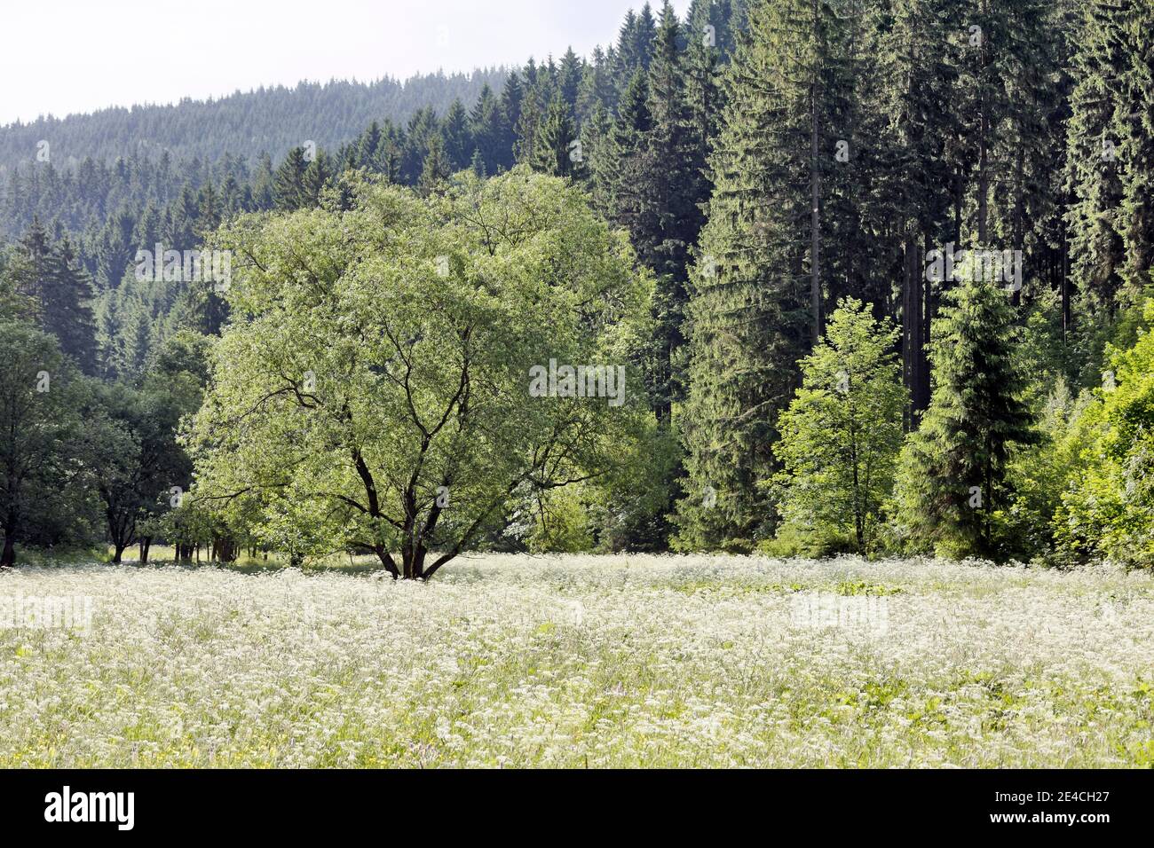 Floodplain hi-res stock photography and images - Alamy