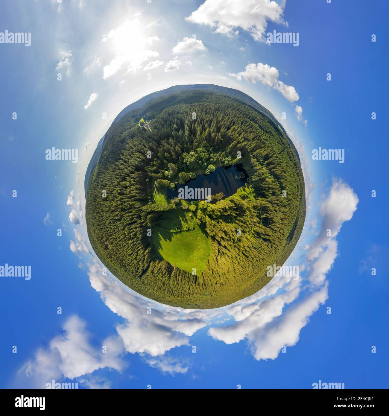Spherical tree trees hi-res stock photography and images - Alamy