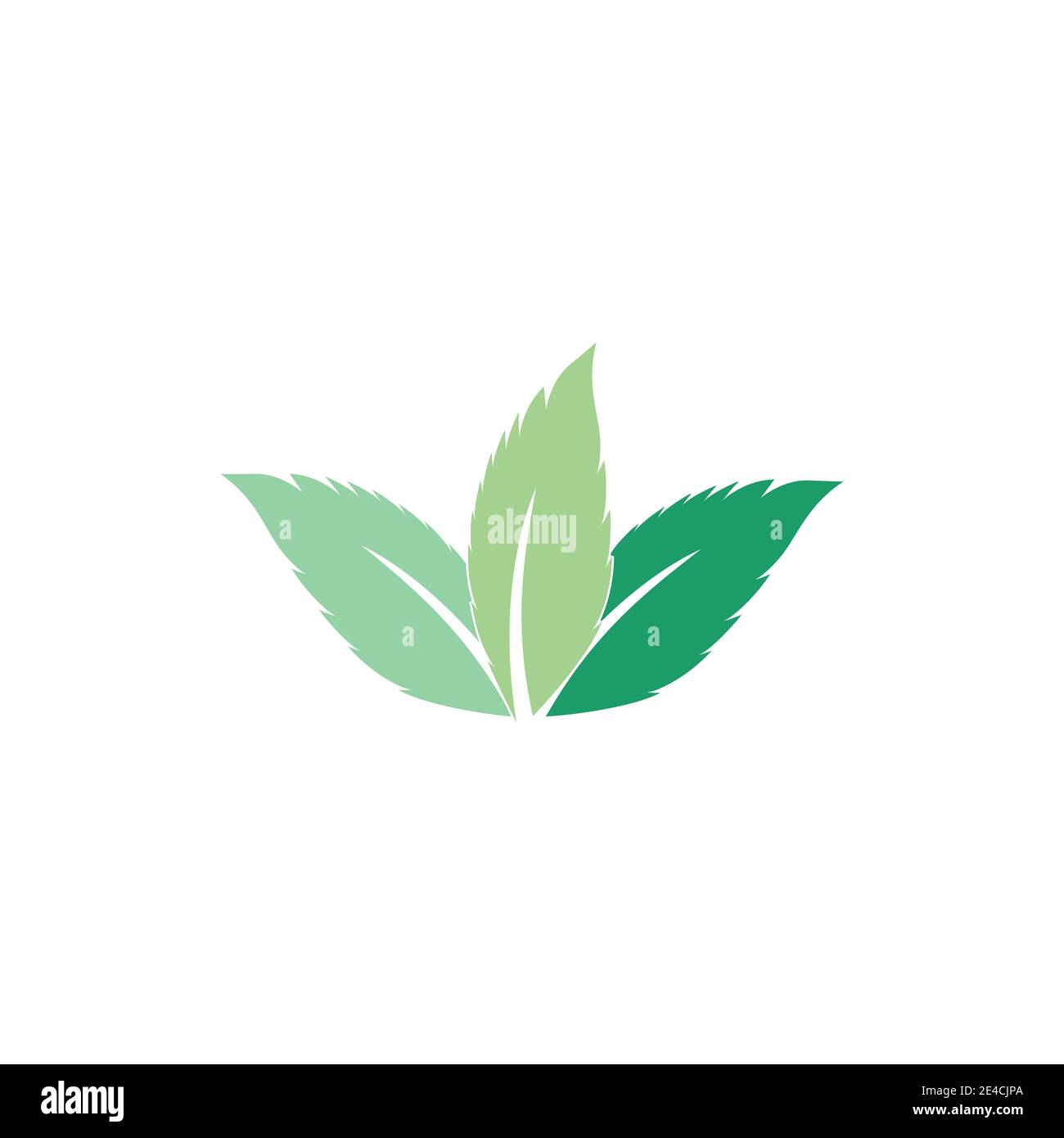 Leaf Mint Logo Template vector symbol nature Stock Vector Image & Art ...