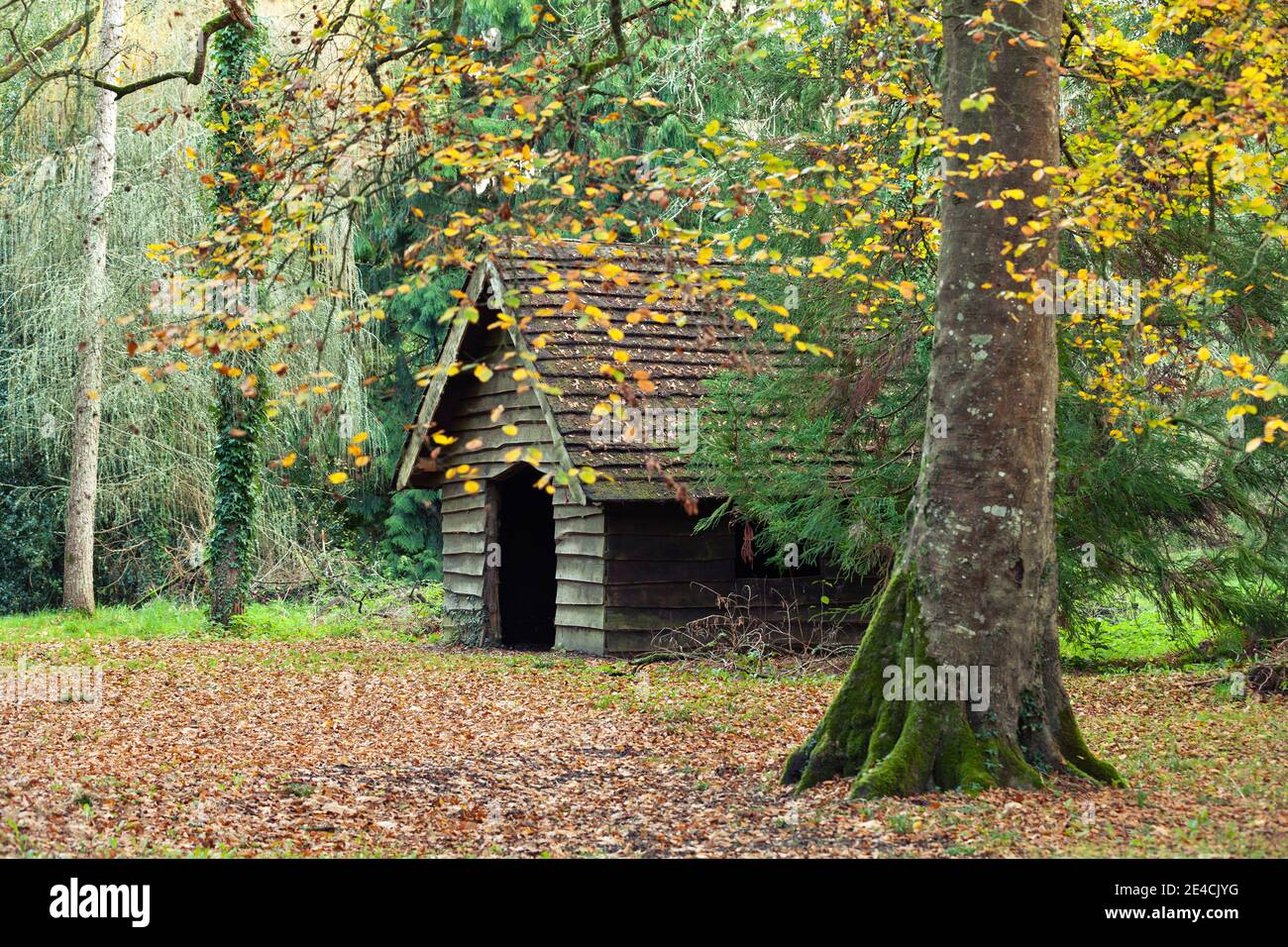 Wooden shelter hi-res stock photography and images - Alamy