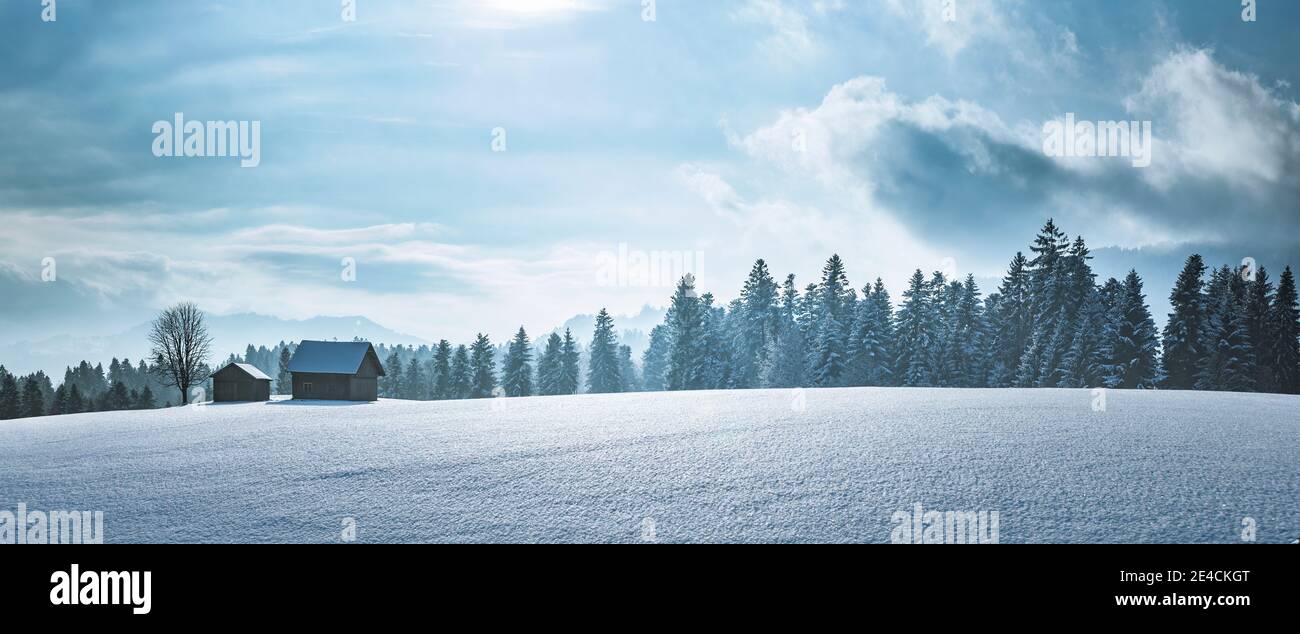 Lonely landscape lonely winter landscape hi-res stock photography and ...