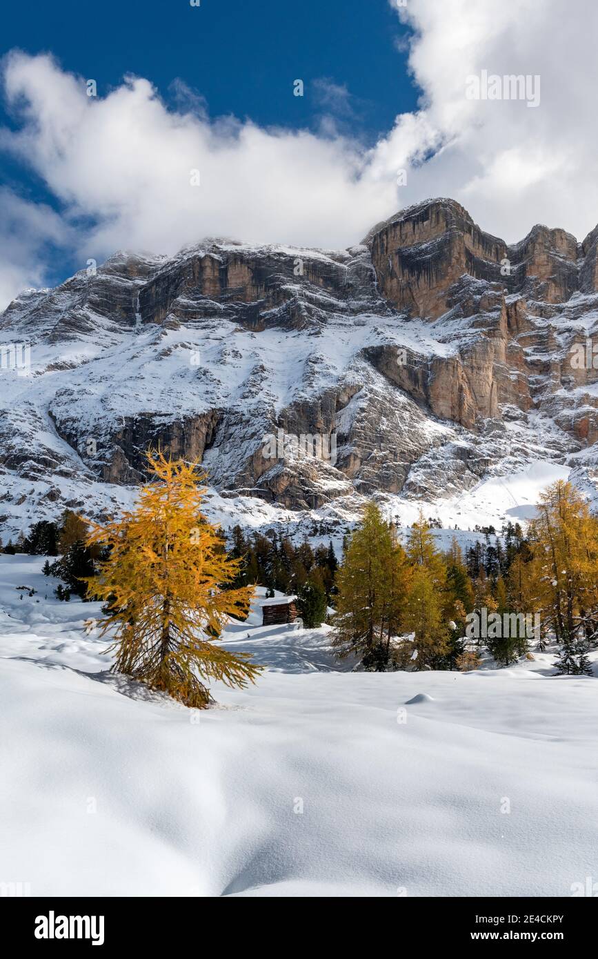 Hochabtei / Alta Badia, Bolzano Province, South Tyrol, Italy, Europe ...