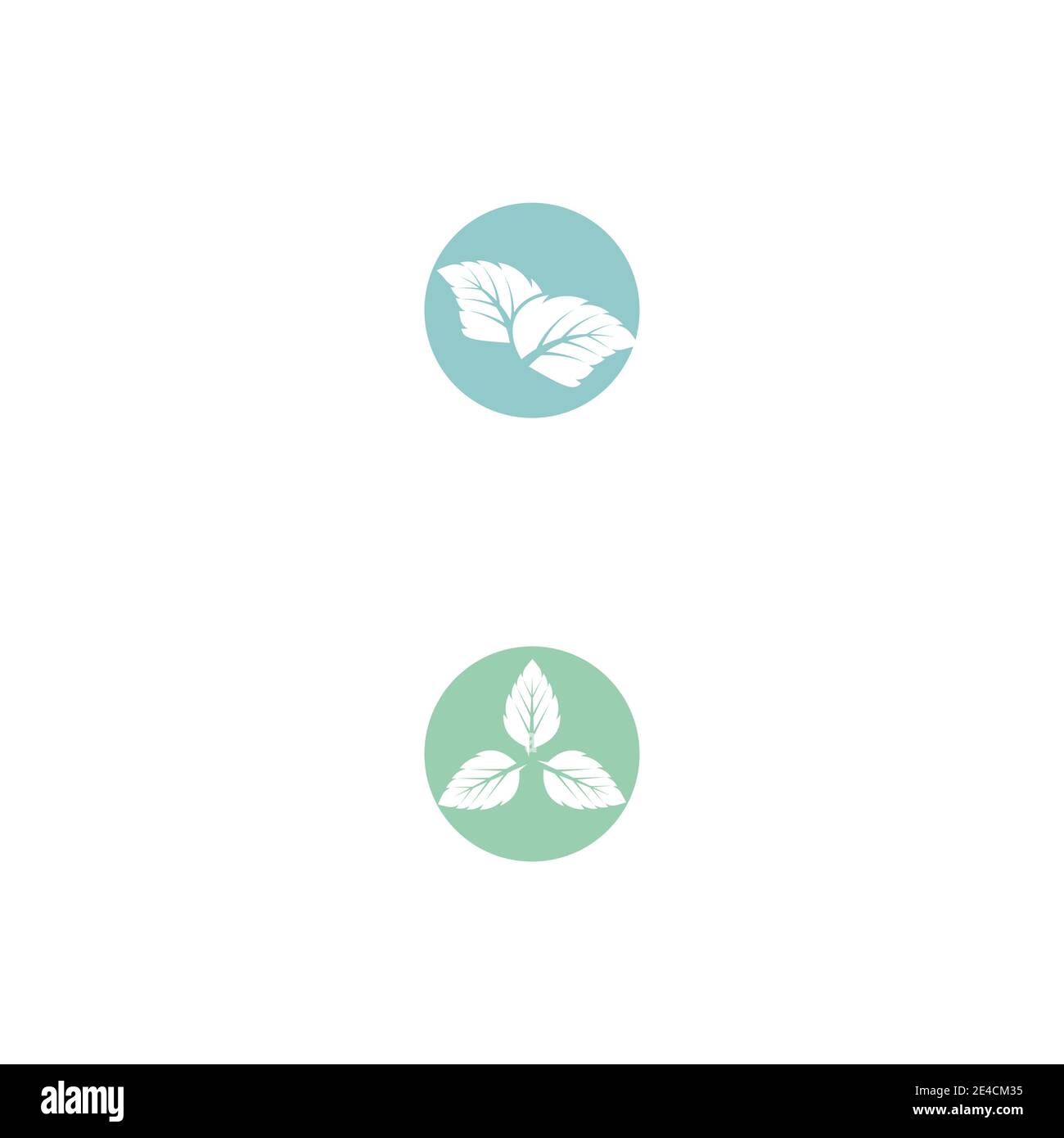 Abstract Mint Leaves Vector Illustration High Resolution Stock ...