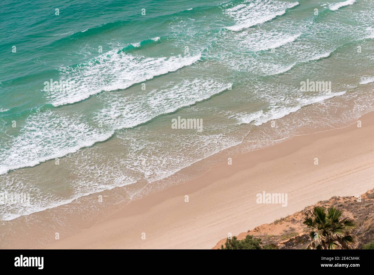 Middle east beach palm hi-res stock photography and images - Alamy