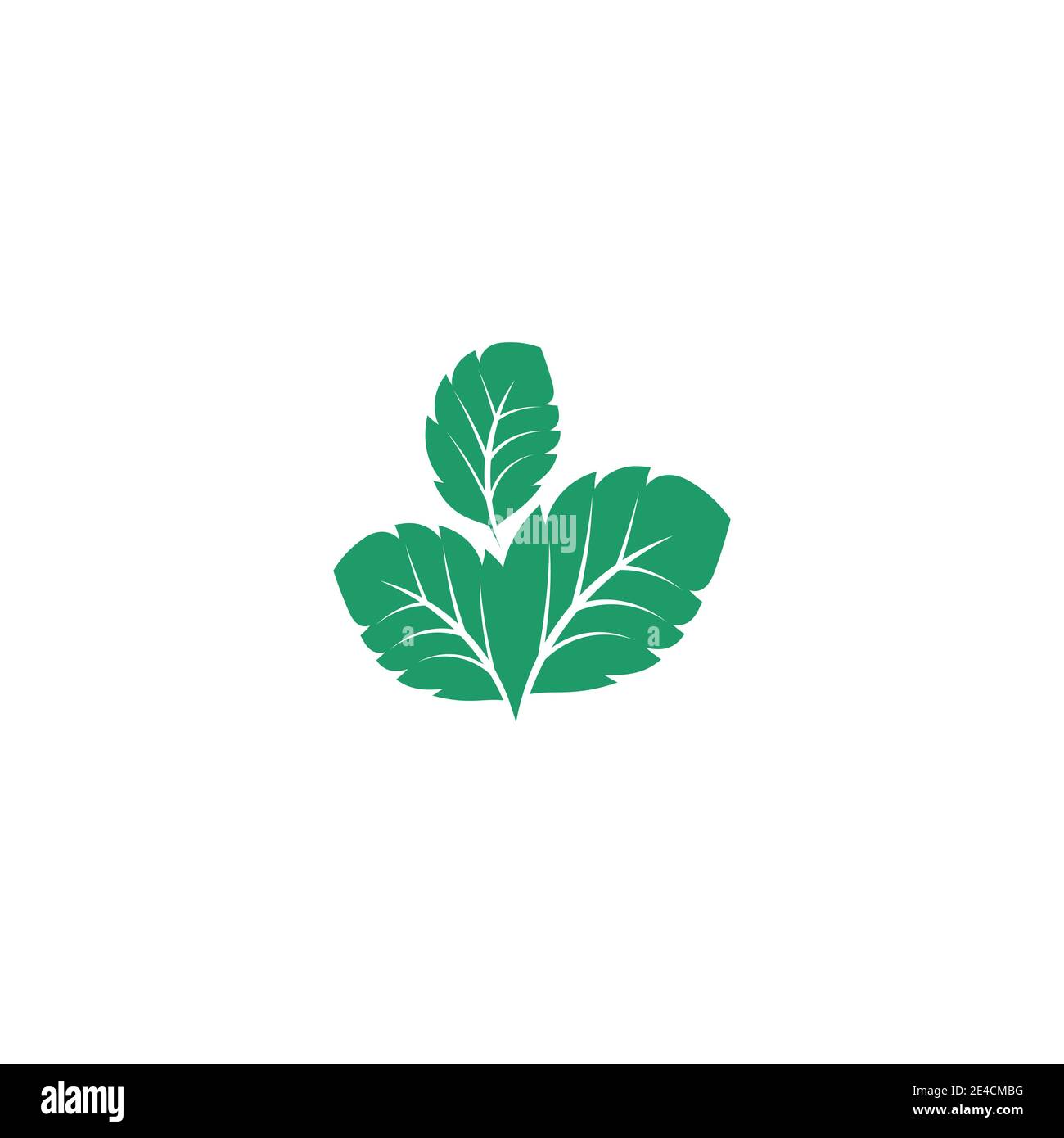 Leaf Mint Logo Template vector symbol nature Stock Vector Image & Art ...