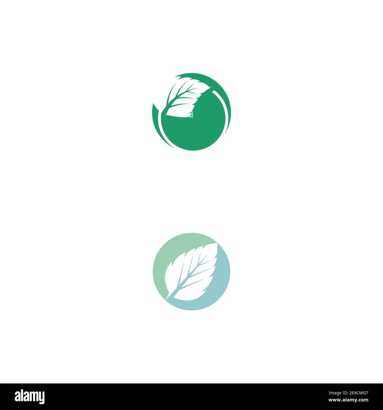 Abstract Mint Leaves Vector Illustration High Resolution Stock ...