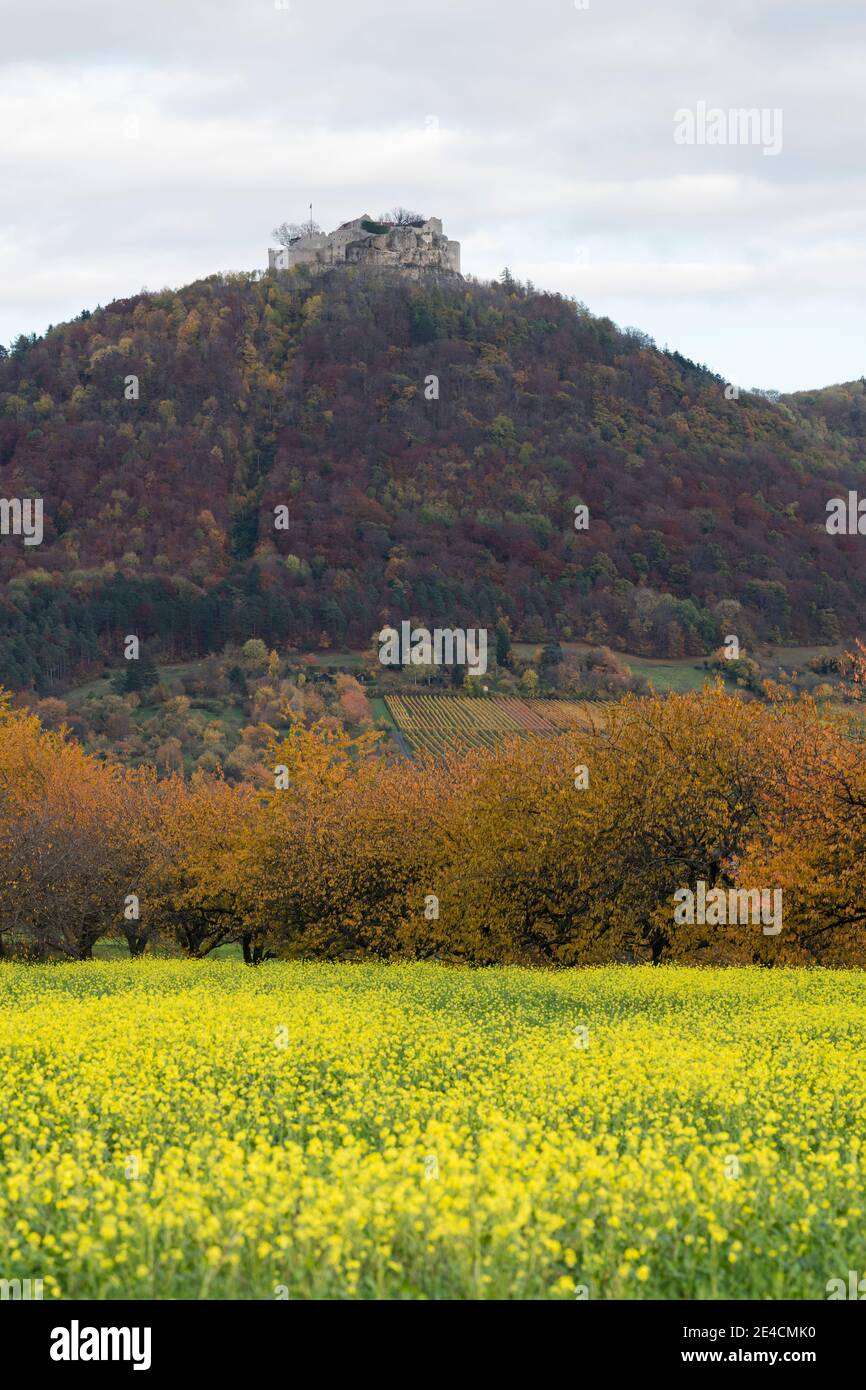 Hohenneuffen castle with colorful autumn forest hi-res stock ...