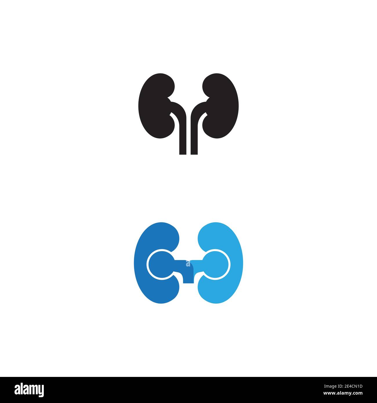 Kidney shape vector vectors hi-res stock photography and images - Alamy