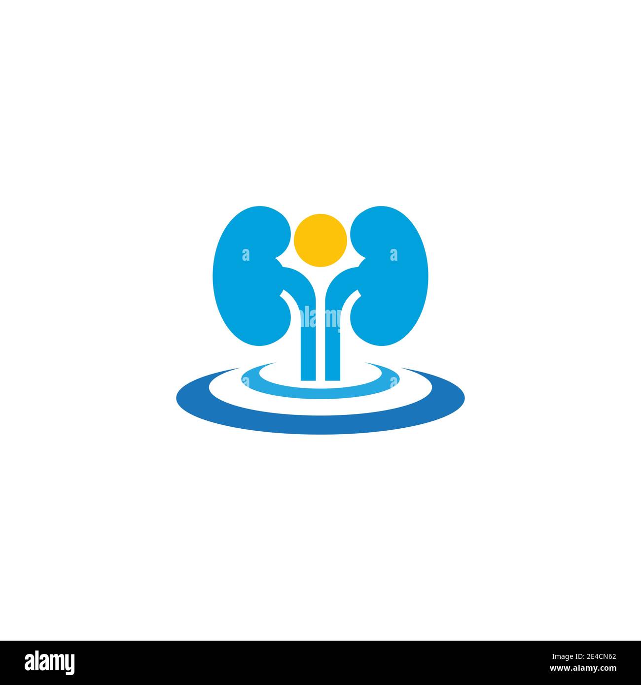 Kidney shape vector vectors hi-res stock photography and images - Alamy