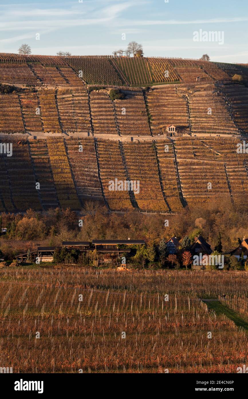 Steep slope vineyards hi-res stock photography and images - Alamy