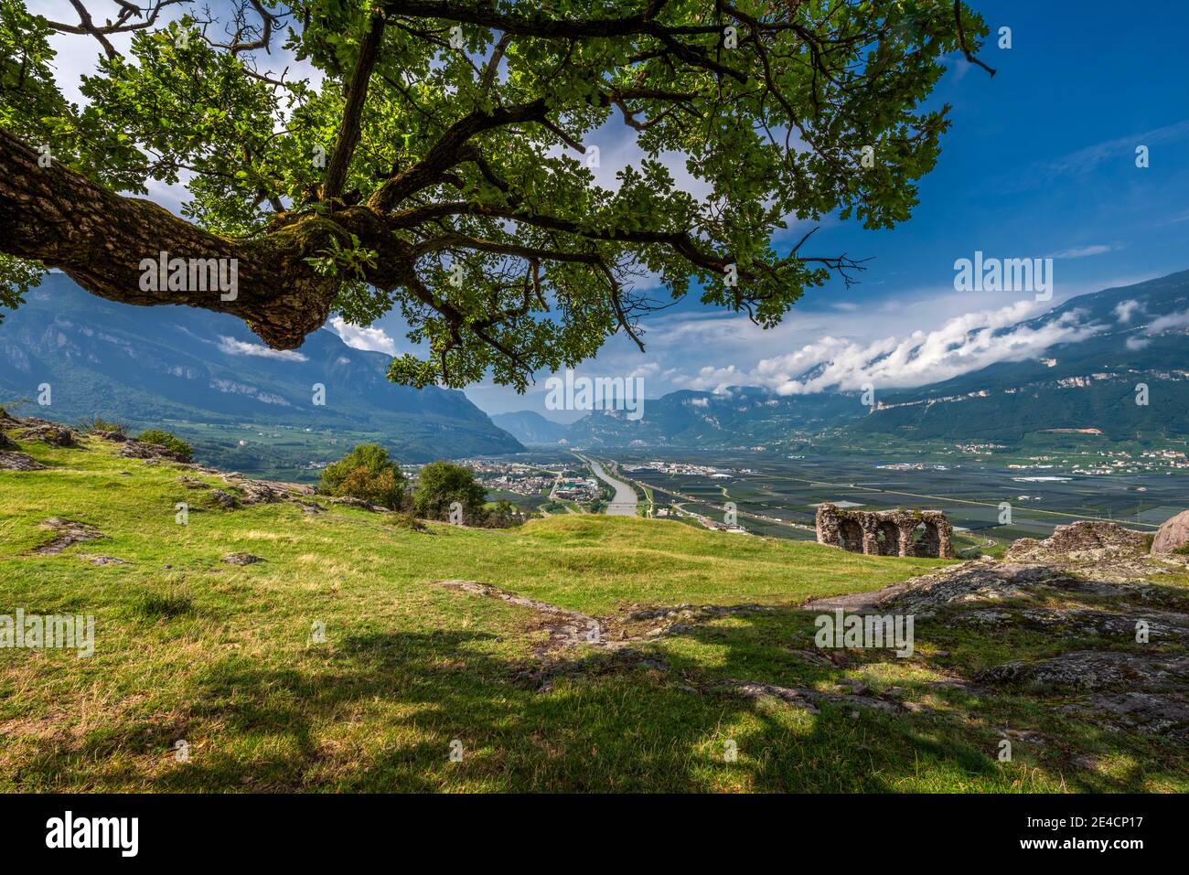 Curtain wall hi-res stock photography and images - Alamy