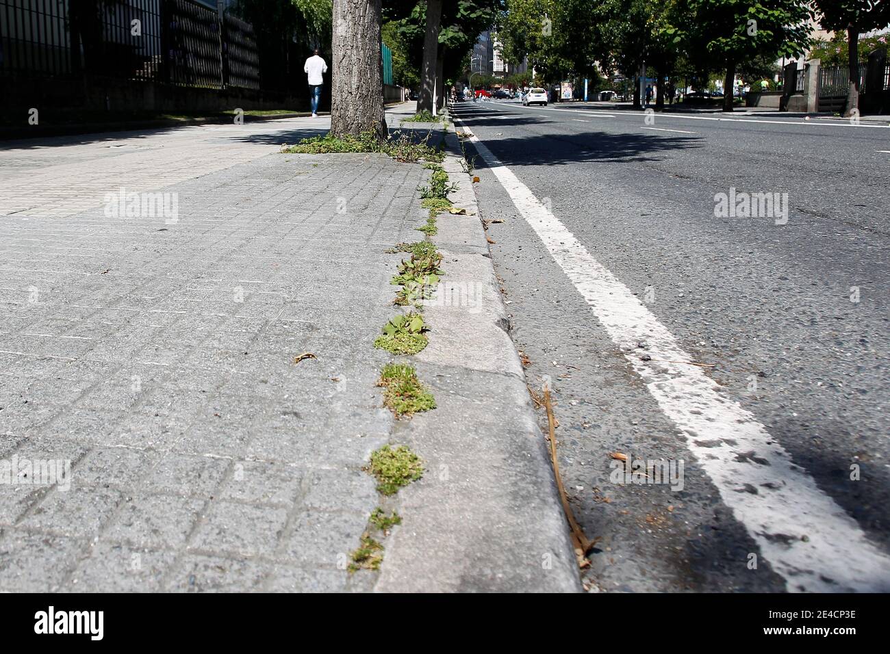 Sidewalk Edge High Resolution Stock Photography and Images - Alamy