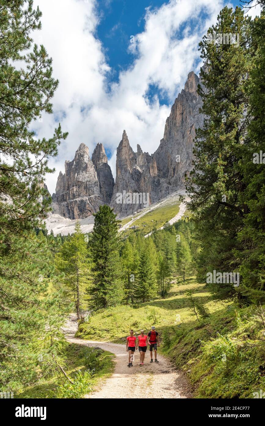 Tiers, Tierser Tal, Bolzano Province, Dolomites, South Tyrol, Italy ...