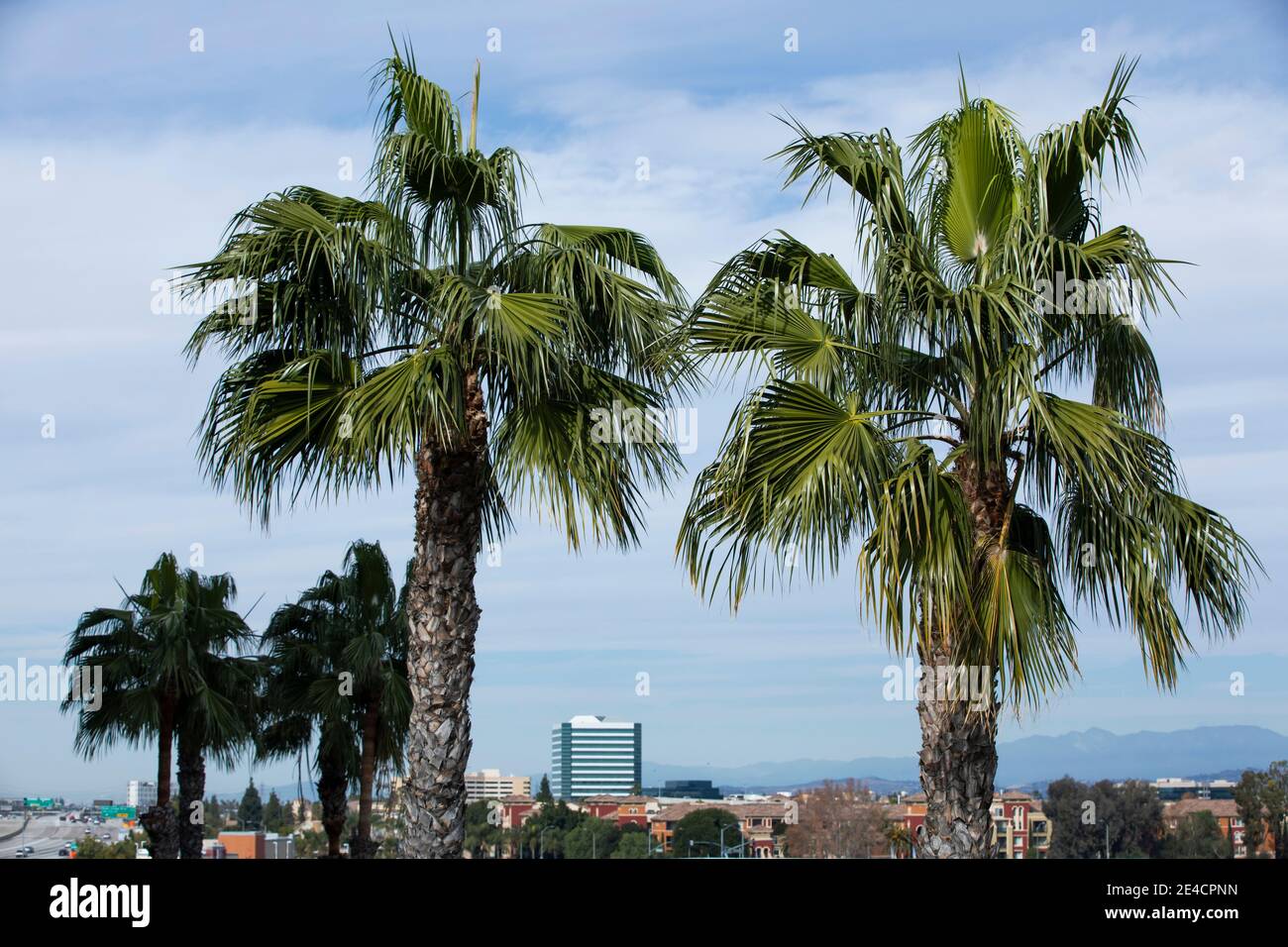 Daytime view of the skyline of Orange, California, USA Stock Photo - Alamy